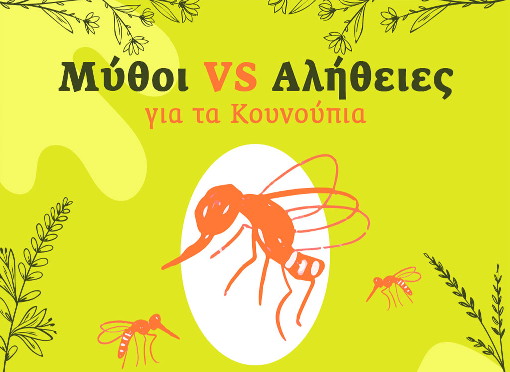 Μύθοι VS Αλήθειες για τα Κουνούπια - Mfree